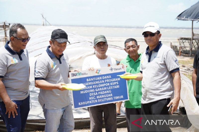 PT Timah bantu petani Belitung Timur tingkatkan produksi garam - ANTARA News Bangka Belitung