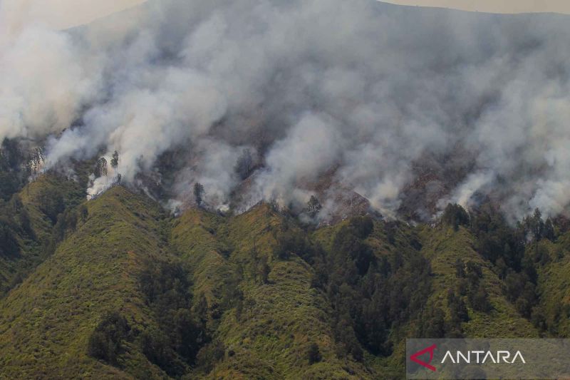 Fire from flare on Mount Bromo proving difficult to contain: Ministry ...