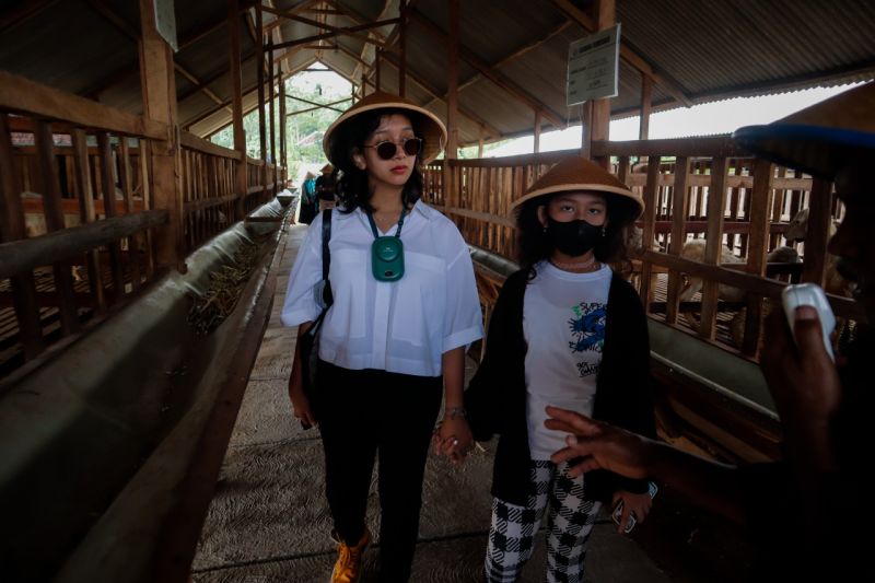 Lumbung Mataram perkuat ketahanan pangan Gunungkidul - ANTARA News