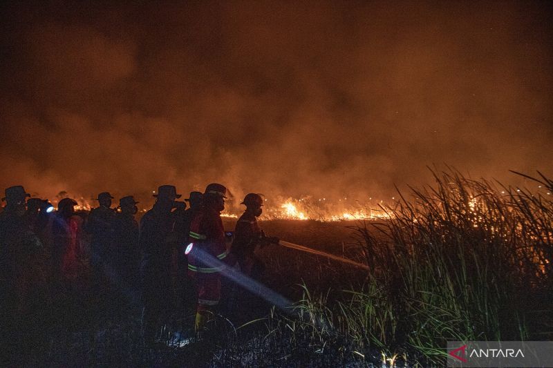 Upaya pemadaman kebakaran lahan di Sumsel - ANTARA News