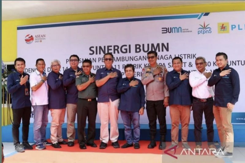 PTPN V efisiensi hingga Rp172,8 miliar bersinergi dengan PLN - ANTARA News