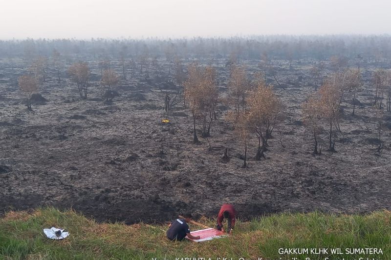 KLHK segel enam lokasi kebakaran hutan dan lahan di Sumatera Selatan - ANTARA News