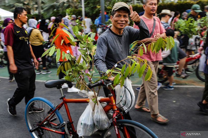 Program Gotong Royong Boyong Pohon - ANTARA News