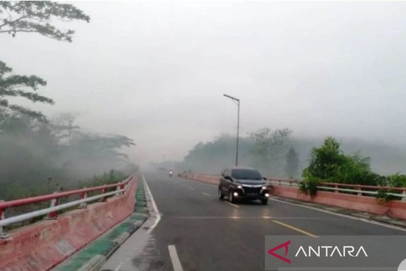 Kabut asap ganggu jarak pandang di jalan Pulang Pisau-Palangka Raya - ANTARA News