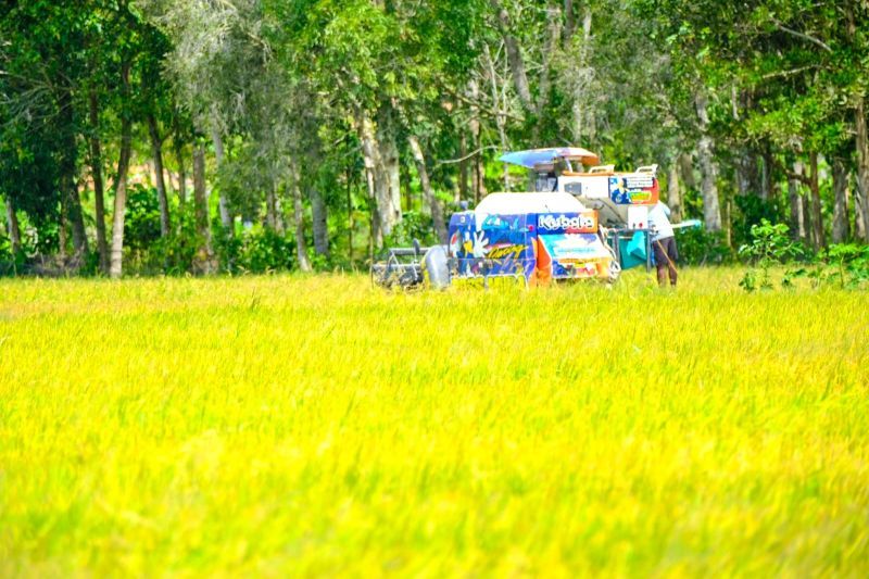 Wilmar dampingi petani tingkatkan produktivitas lahan tidur - ANTARA News