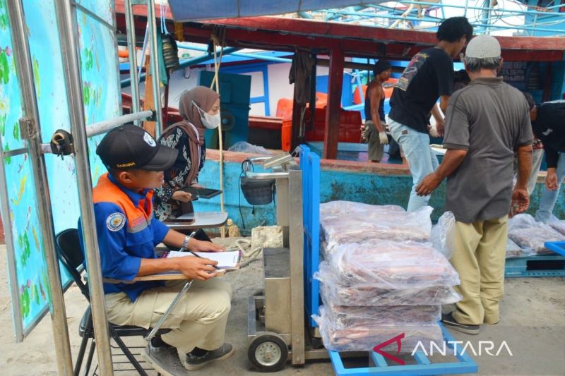 KKP kerahkan taruna di pelabuhan perikanan bantu program PIT - ANTARA News