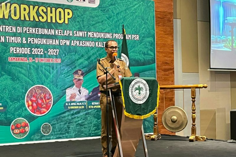 Tanaman Kelapa Sawit Dominasi 89 59 Persen Luas Perkebunan Kaltim