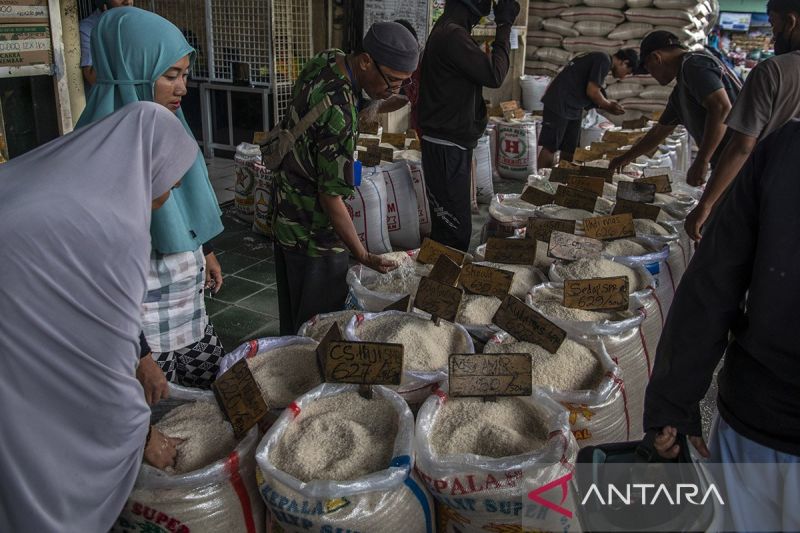 Komoditas beras penyumbang inflasi tertinggi - ANTARA News