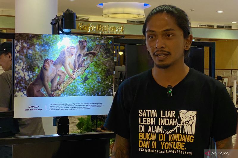 Fotografer terbaik pameran YKAN sampaikan pesan stop eksploitasi hewan ...