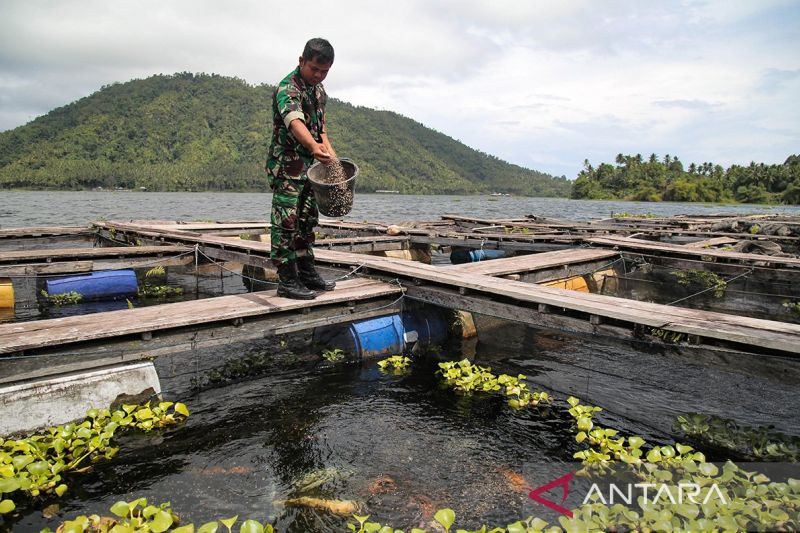 Babinsa budi dayakan ikan nilai di Danau Talaga Duma - ANTARA News