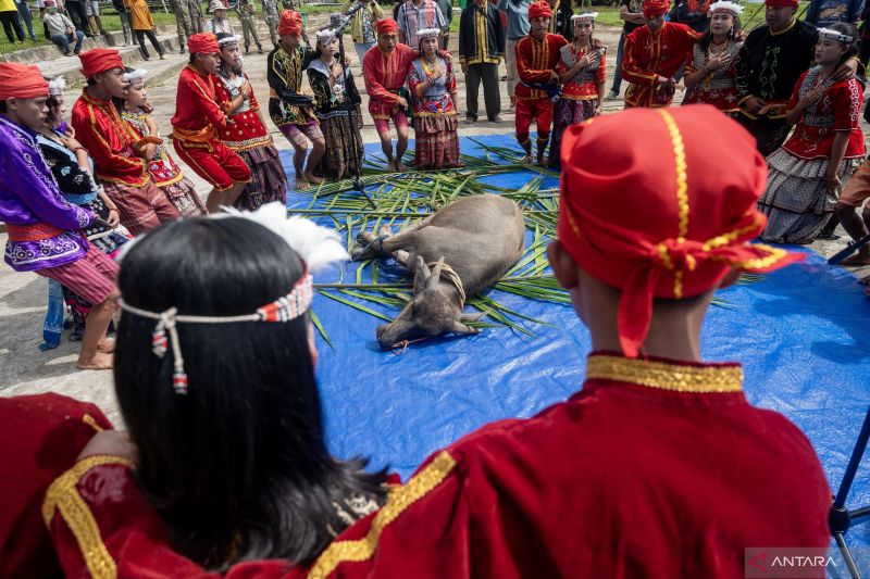Wisata Danau Lindu di Sulawesi Tengah - ANTARA News