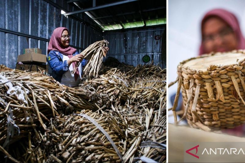 Artikel - Menganyam eceng gondok, mengetam rupiah - ANTARA News Bali