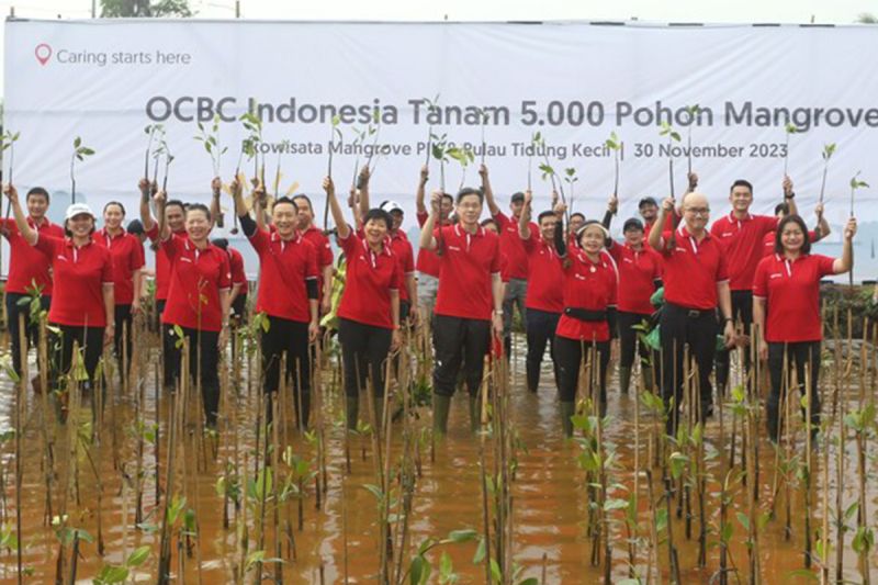 OCBC Indonesia Tegaskan Komitmennya dalam Melestarikan Lingkungan Hidup dengan Menanam Mangrove ...