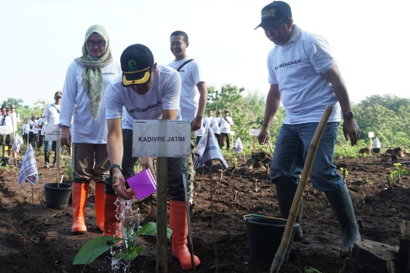 Perhutani Divre Jatim tanam 15,3 juta bibit pohon - ANTARA News