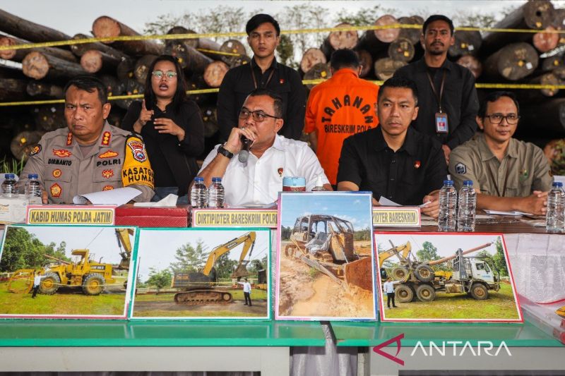 Bareskrim Polri amankan 1.259 batang kayu hasil penebangan liar - ANTARA News
