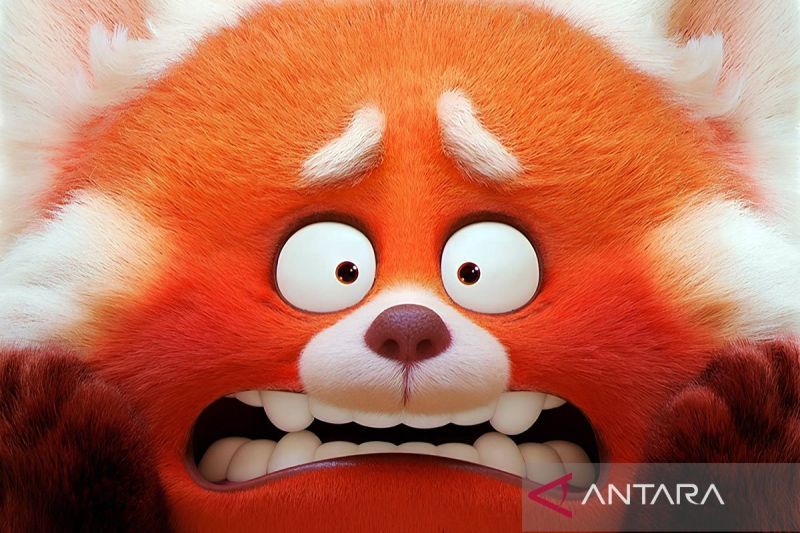 Fakta unik film animasi "Turning Red" yang tayang terbatas di bioskop ...