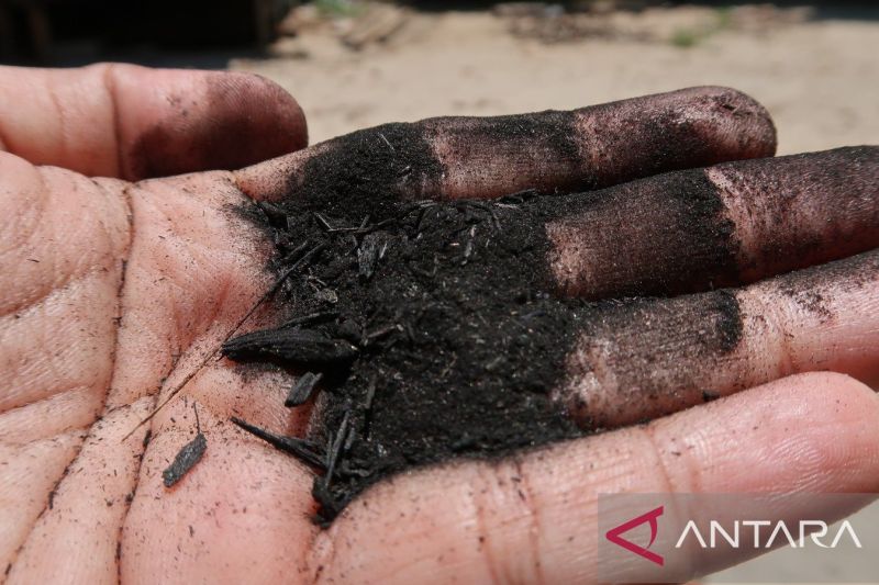 Eksotisme garam tradisional Indonesia - ANTARA News