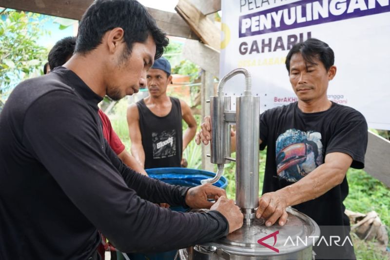 Berharap pundi-pundi rupiah dari wewangian gaharu - ANTARA News