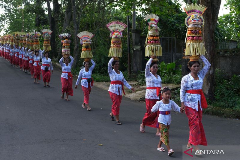 Tradisi Mapeed Alas Kedaton di Tabanan Bali - ANTARA News