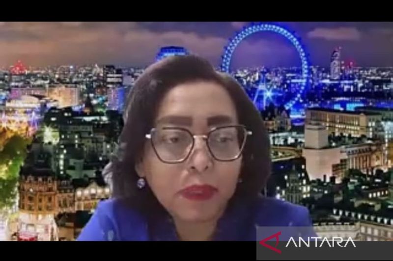 Akademisi sebut diperlukan penataan SDM intelijen di Indonesia - ANTARA ...