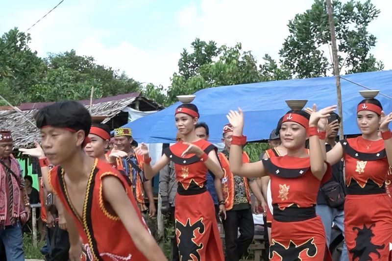 Masyarakat Dayak Kubu Raya lestarikan ritual Naik Dango - ANTARA News