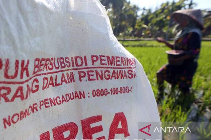 Kadis Pertanian Bulukumba ungkap otak penyelundupan pupuk - ANTARA News