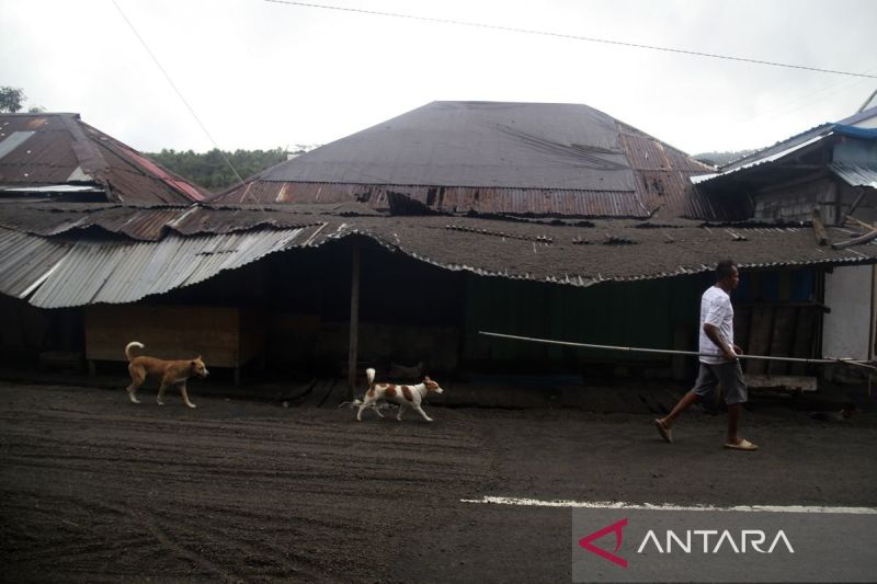 Ribuan rumah rusak terdampak erupsi Gunung Ruang - ANTARA News