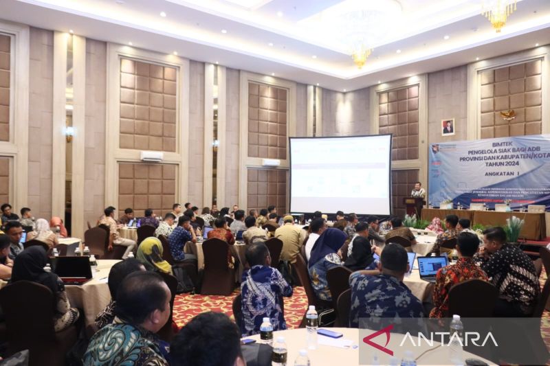 Dukcapil: SIAK Terpusat beri dampak layanan publik lebih baik - ANTARA News
