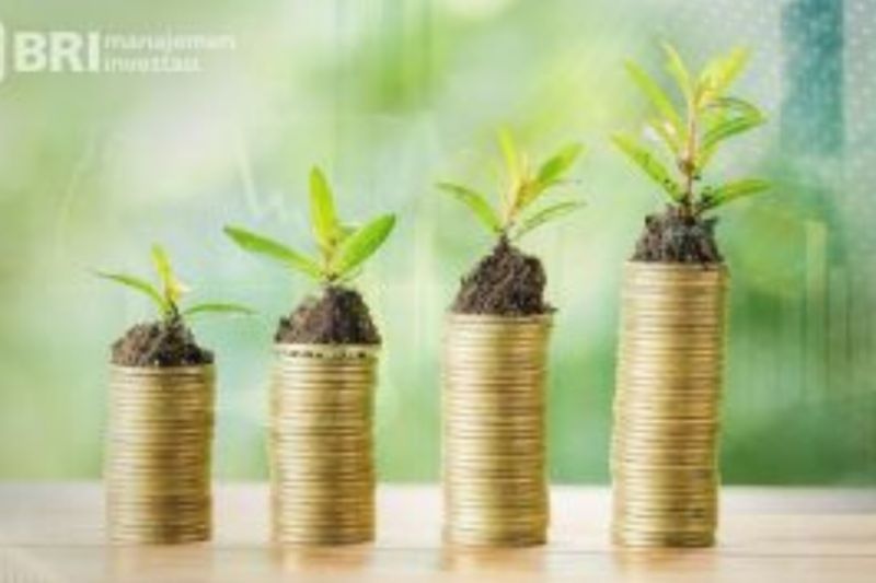 Pengertian investasi beserta manfaat dan jenis-jenisnya - ANTARA News