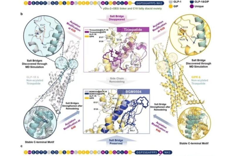Riset "Nature": BGM0504 yang Didesain AI dan "Molecular Dynamics" Memiliki Khasiat yang Luar ...