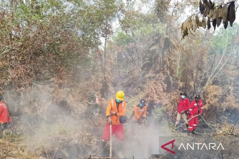 Tim gabungan padamkan karhutla yang terjadi di Palangka Raya - ANTARA News