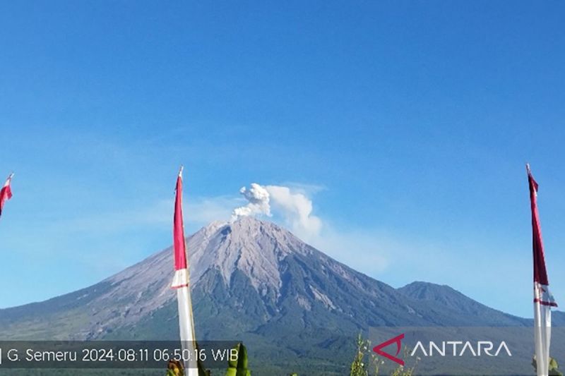 Gunung Semeru kembali erupsi dengan letusan setinggi 600 meter - ANTARA ...