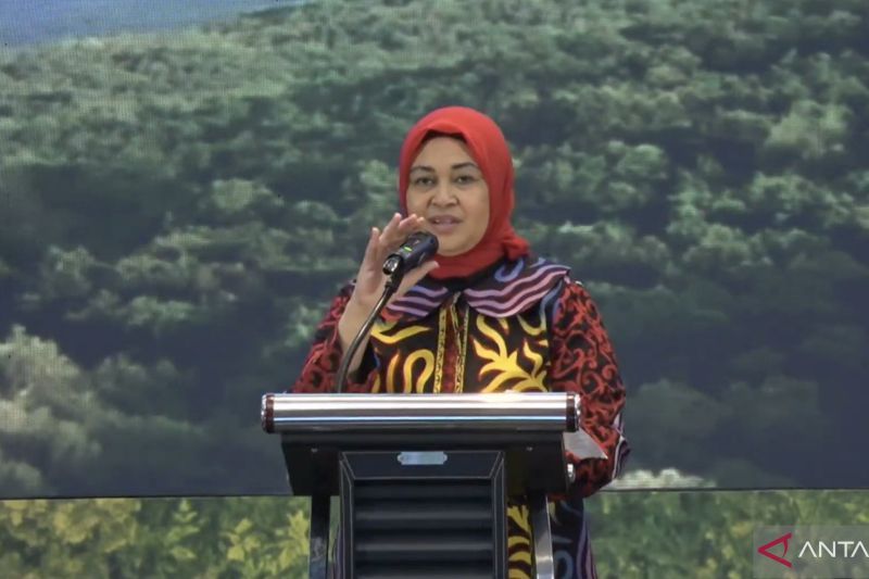 KLHK upayakan percepatan realisasi rehabilitasi DAS oleh pemegang PPKH ...