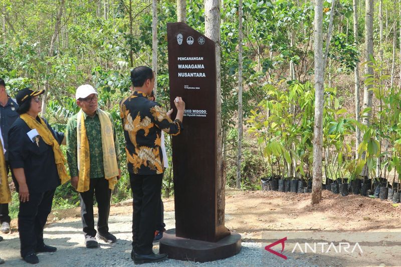 Presiden canangkan hutan pendidikan Wanagama Nusantara di IKN - ANTARA News