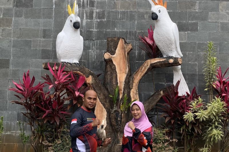 BKSDA Maluku terima penyerahan satwa liar dari warga secara sukarela ...
