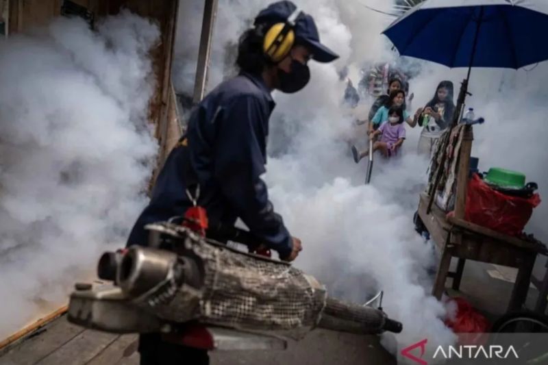 Indonesia promotes dengue vaccination amid rainy season - ANTARA News