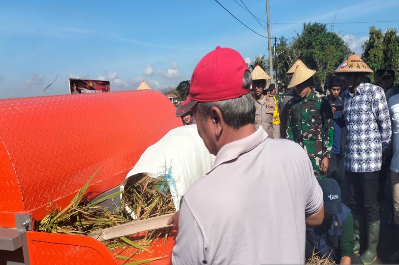 Produksi padi Sleman Januari-September 178.899 ton - ANTARA News ...