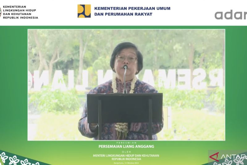 RI's deforestation reduction efforts get international attention ...