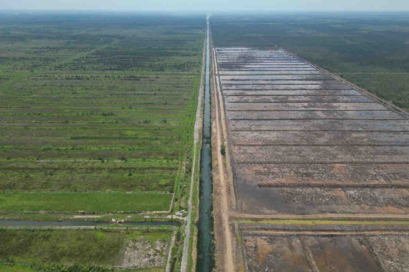 Kementan: Program cetak sawah didukung penuh presiden terpilih Prabowo ... Kementan: Program cetak sawah didukung penuh presiden terpilih Prabowo ...