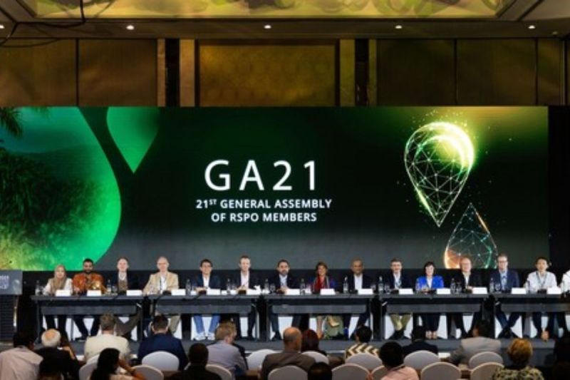 Anggota RSPO Resmi Terapkan Prinsip dan Kriteria 2024 dan Standar ...