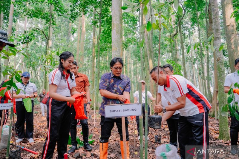 DLHK Badung tanam 1.000 pohon untuk jaga kelestarian hutan Sangeh - ANTARA News