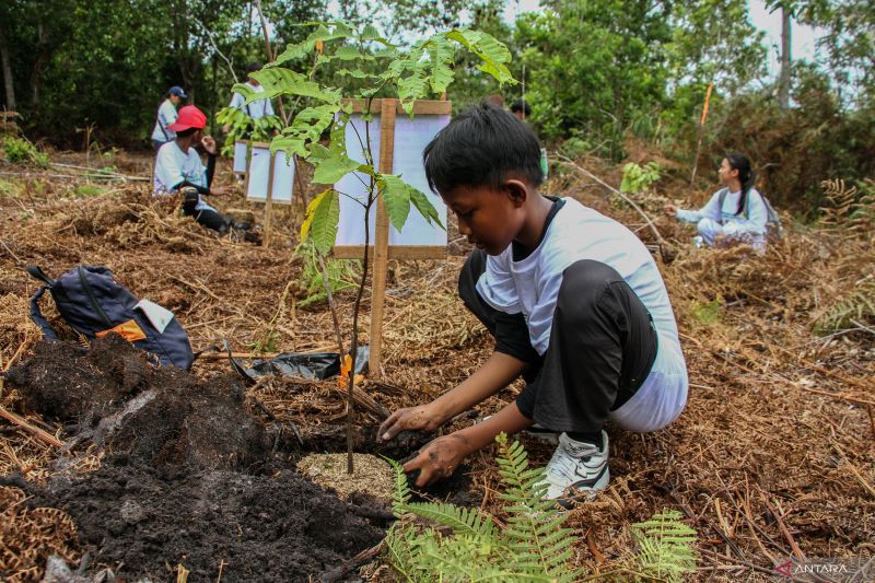 Indonesia intensifies reforestation push to meet climate targets ...