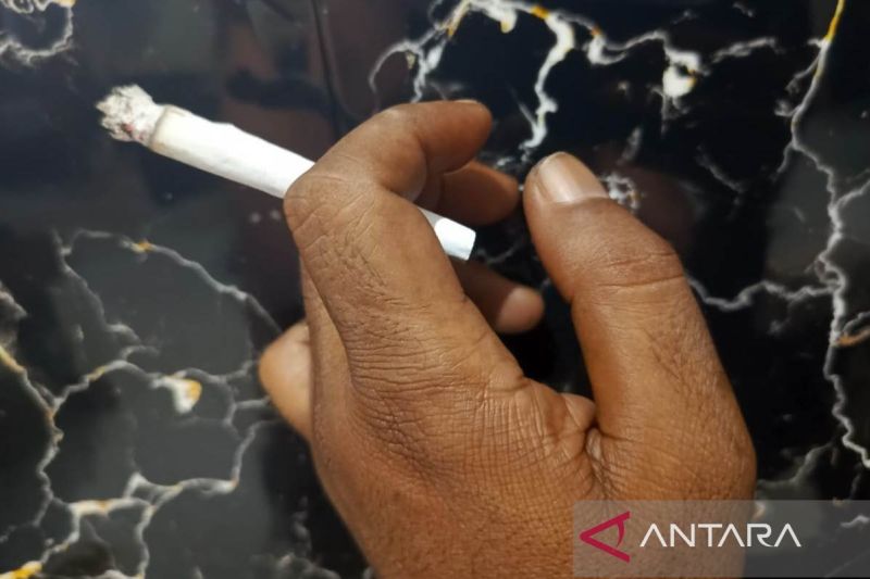 Studi ungkap setiap rokok yang dihisap memperpendek umur - ANTARA News
