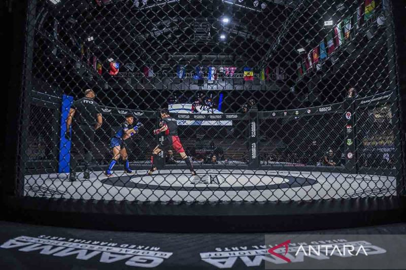 GAMMA World MMA Championships 2024 - ANTARA News