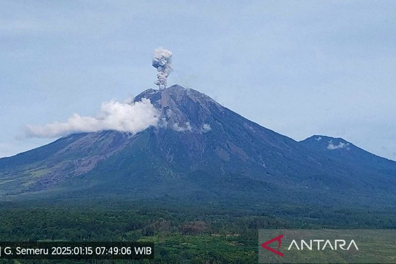 Gunung Semeru erupsi dengan letusan setinggi 900 meter - ANTARA News
