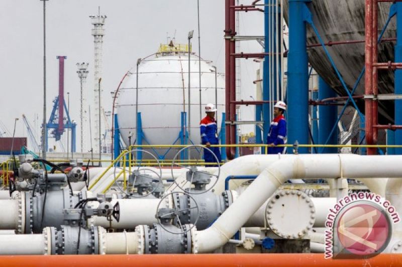 Develop LPG industry to reduce imports: Indonesian official - ANTARA News