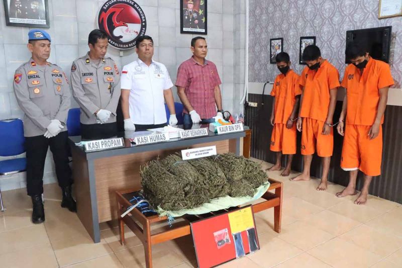 Polres Langsa tangkap tiga pengedar 10 kilogram ganja - ANTARA News Aceh