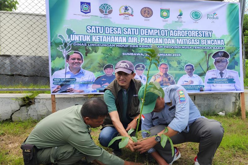 NTB mulai Gerakan Satu Desa Satu Demplot Agroferestri di Sumbawa ...