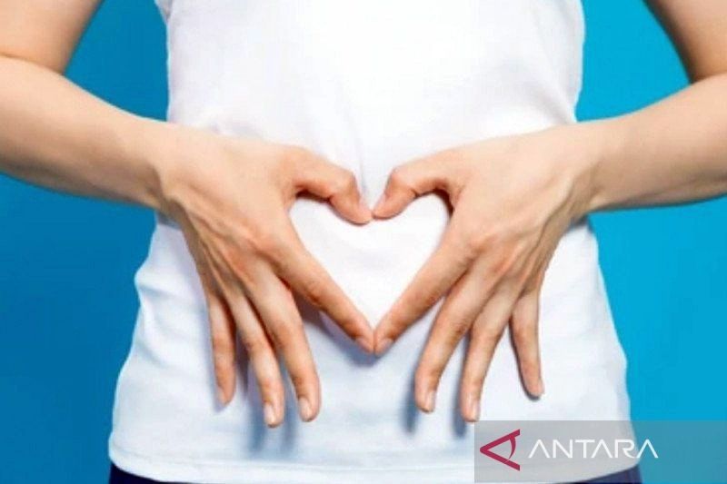 Ritme sirkadian pengaruhi kesehatan usus menurut pakar nutrisi - ANTARA ...