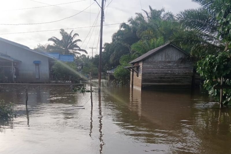 Empat desa di Sambas masih terdampak banjir - ANTARA News Kalimantan Barat